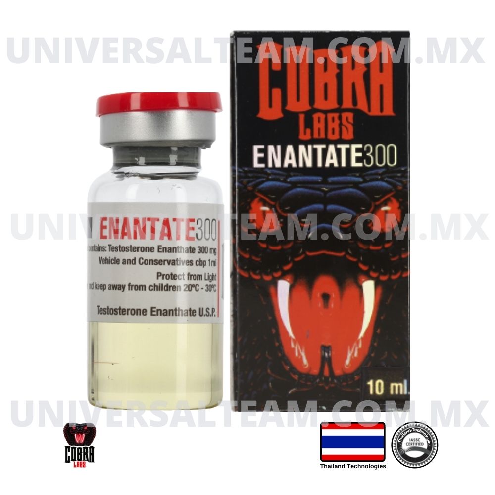 ENANTATO - 300 (Enantato de Testosterona) 10 ML Cobra Labs – Universal Team